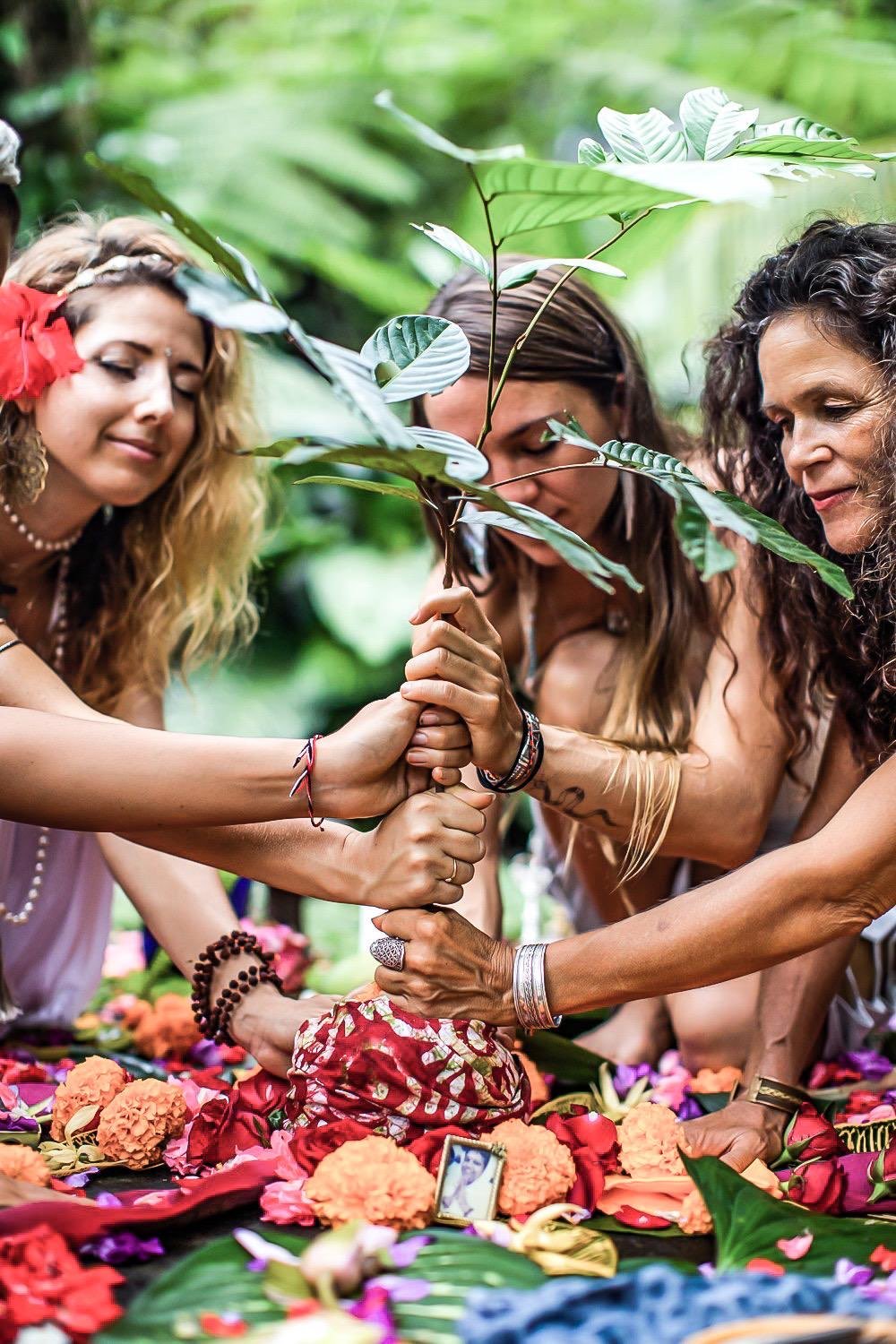 Join The Miracle Trees Movement! – BrightFuture.Org Shop